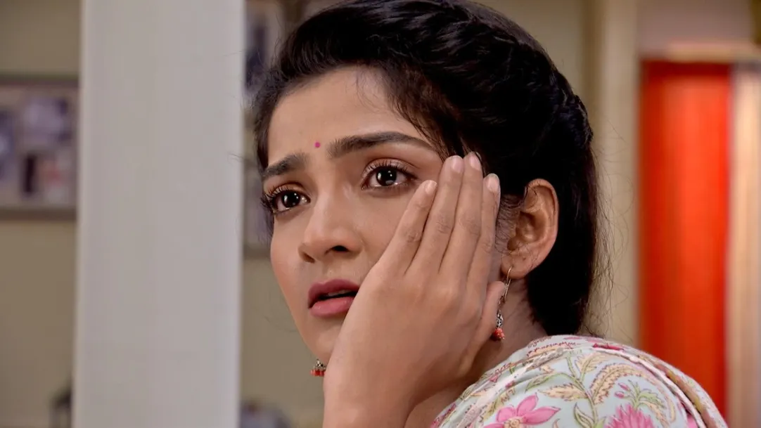 Pilu TV Serial - Watch Pilu Online All Episodes (1-293) on ZEE5