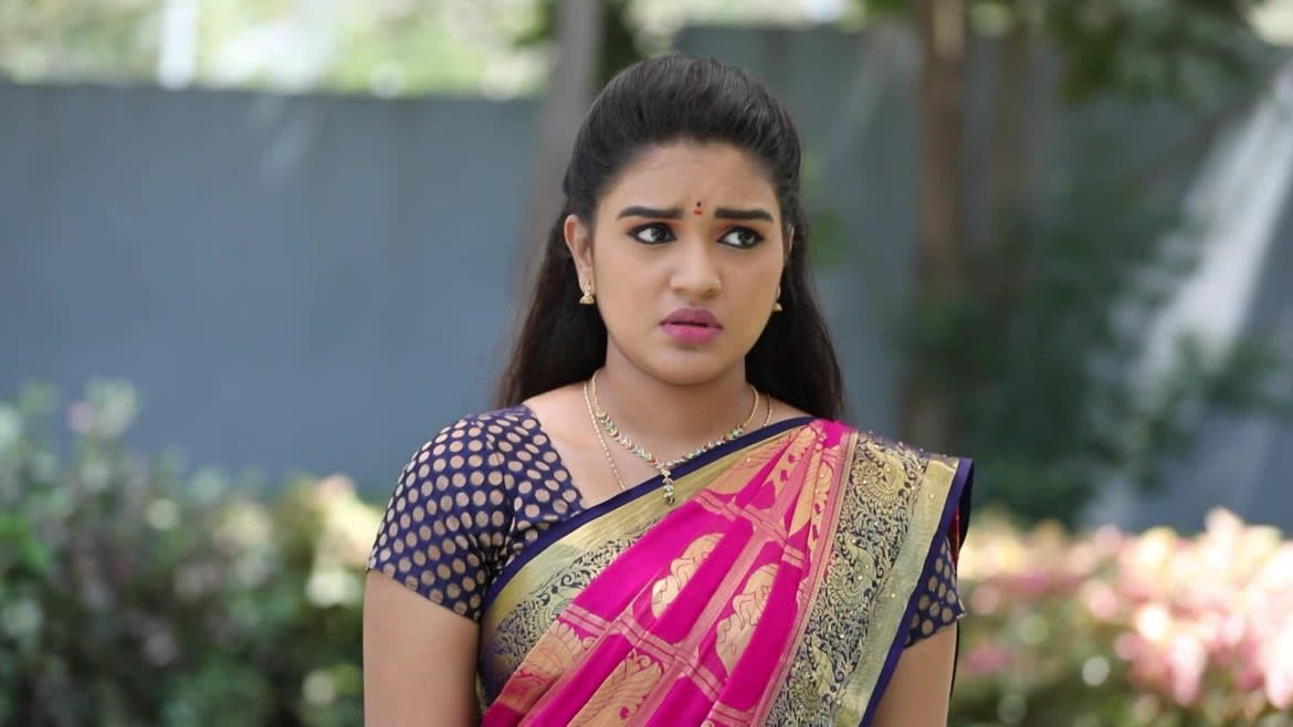 Watch Sembaruthi TV Serial 25th February 2019 Full Episode 410 Online ...