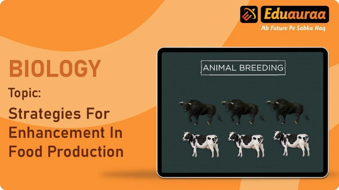 Watch The Process of Inbreeding Online in HD | ZEE5