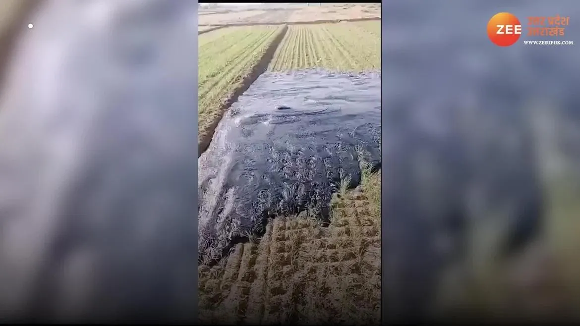 Watch Breaking News Volcano type lava seen erupting from crop field ...