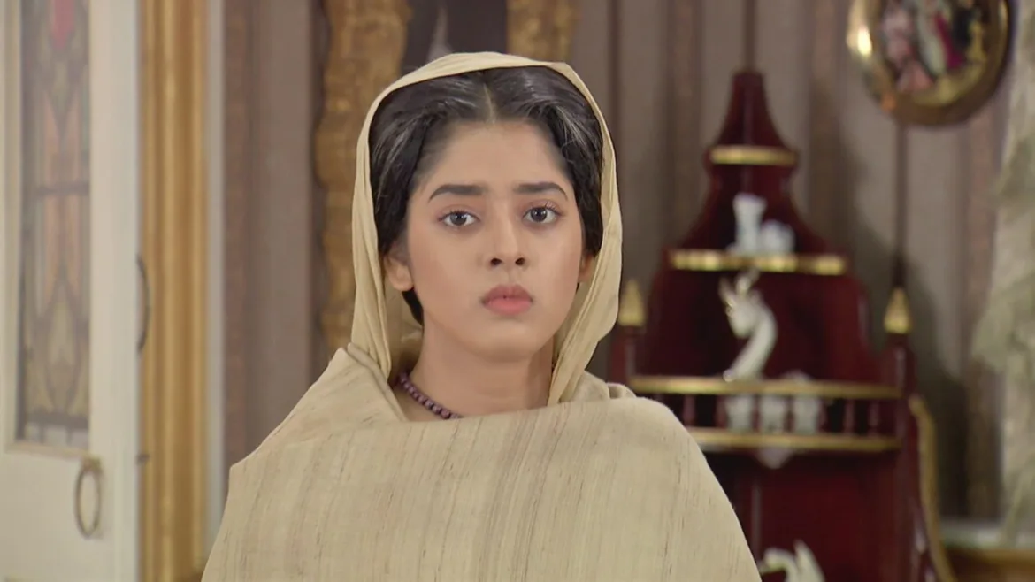 Watch Rani Rashmoni TV Serial 1st August 2019 Full Episode 734 Online ...