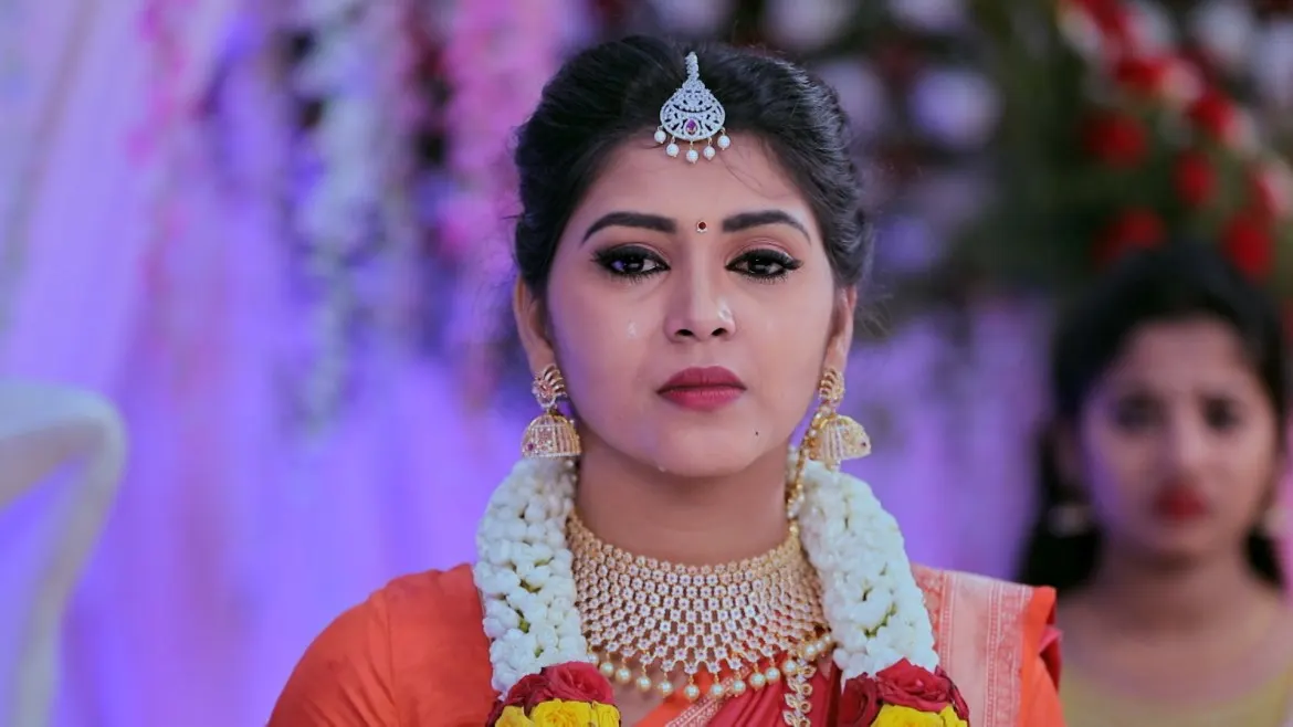 Watch Kamali TV Serial 3rd August 2019 Full Episode 379 Online on ZEE5