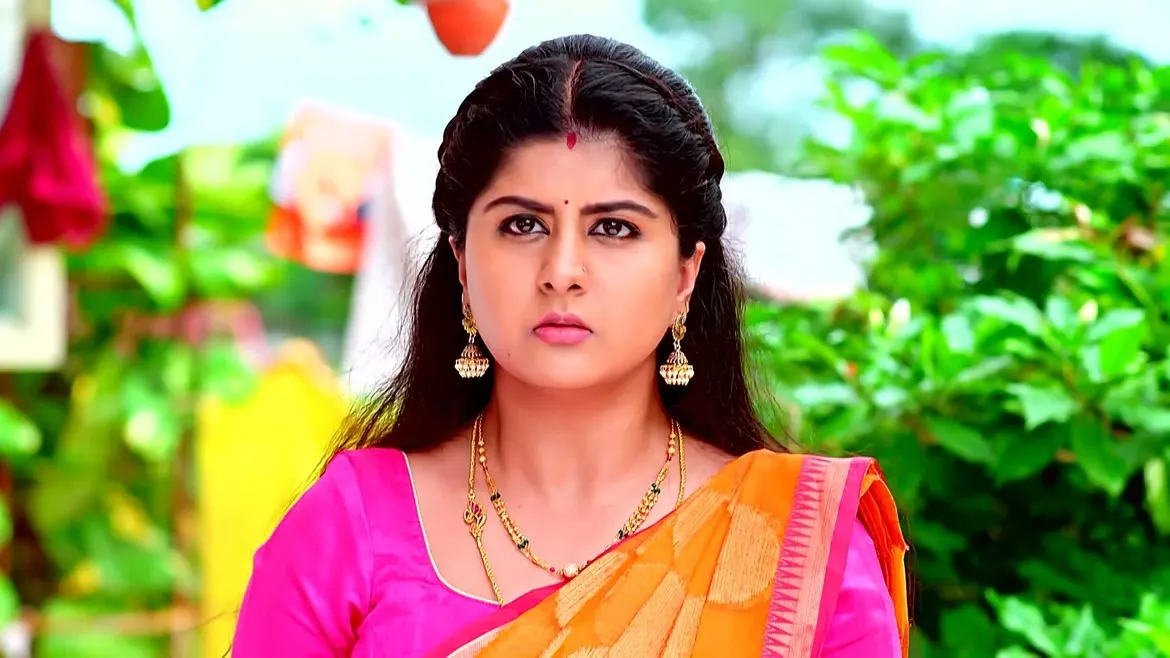 Watch Vaidehi Parinayam TV Serial 24th August 2022 Full Episode 387 ...