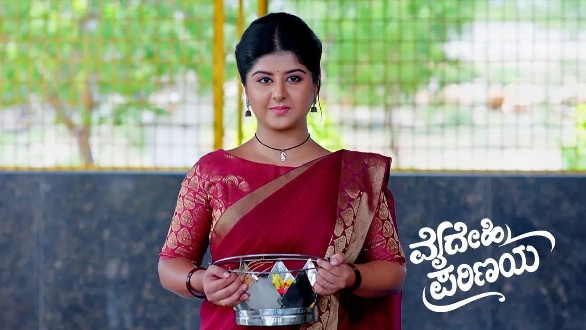 Watch Vaidehi Parinaya TV Serial 28th September 2023 Full Episode 339 ...