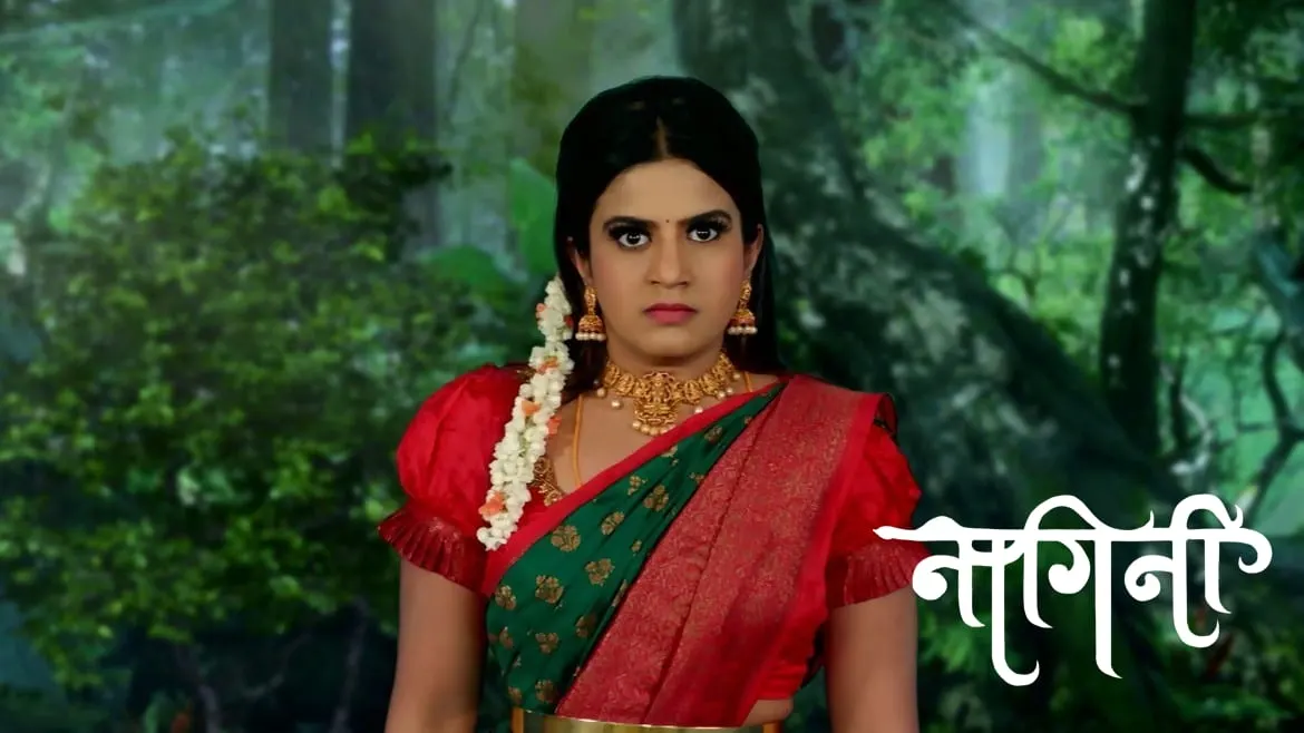 Watch Nagini TV Serial 8th October 2023 Full Episode 205 Online on ZEE5