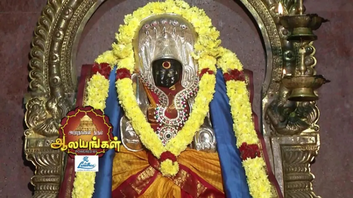 Watch Arputham Tharum Alayangal TV Serial 20th February 2018 Full ...