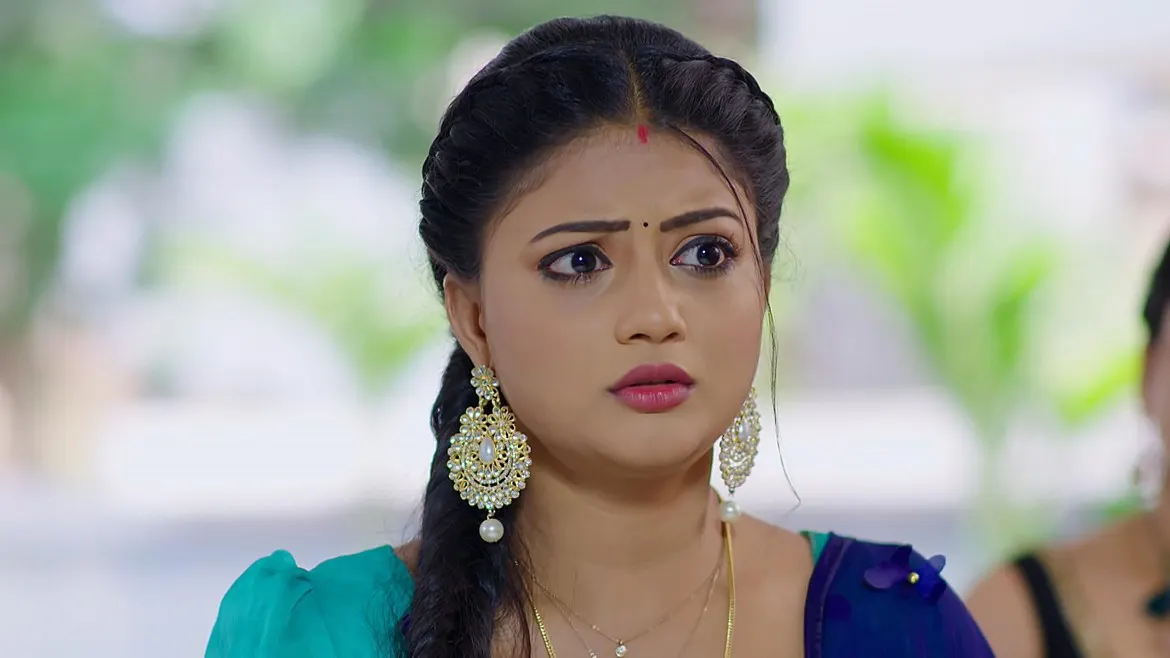 Watch Hitler Gari Pellam TV Serial 12th April 2021 Full Episode 205 ...