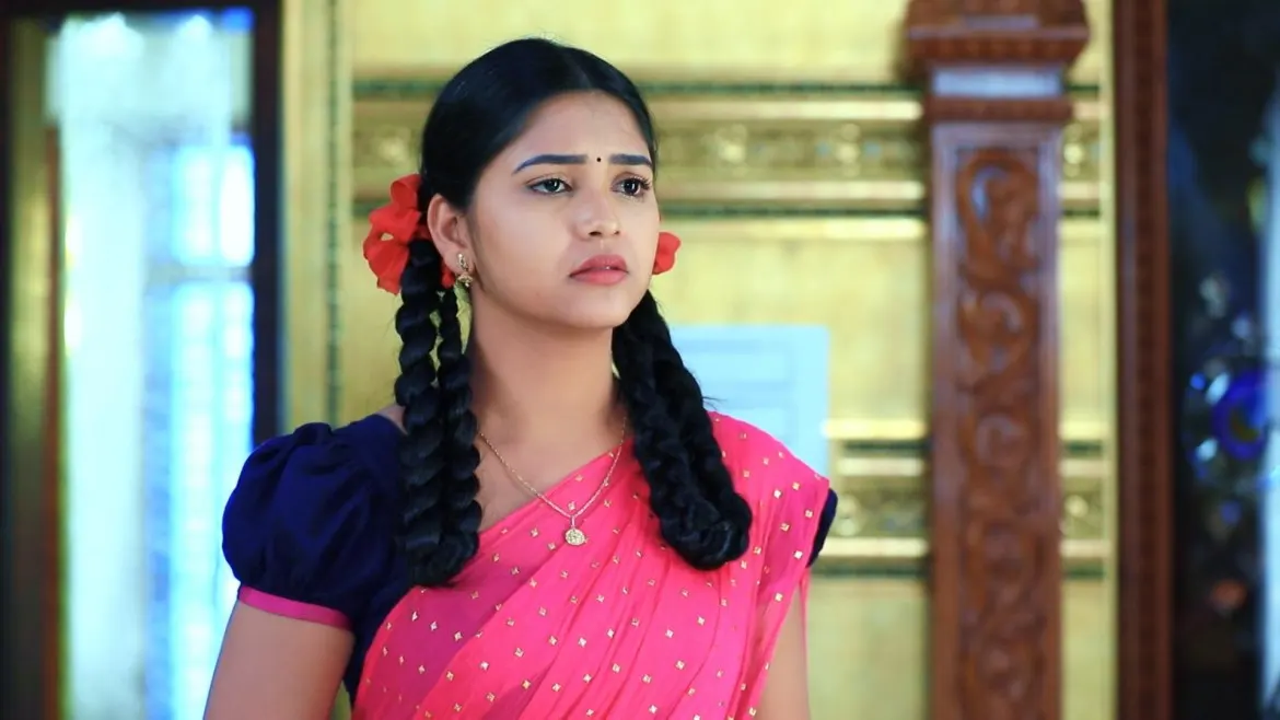 Watch Kamali TV Serial 14th February 2020 Full Episode 524 Online on ZEE5