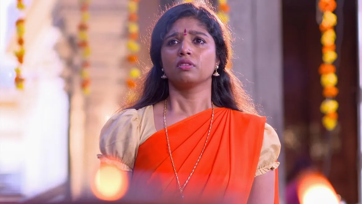 Watch Chembarathi TV Serial 23rd January 2020 Full Episode 371 Online ...