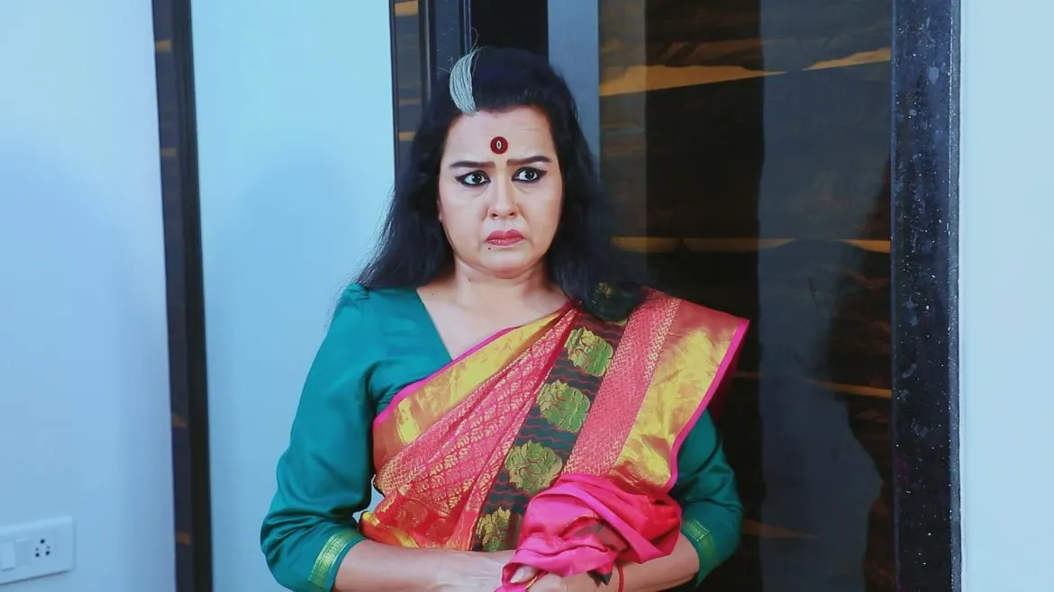 Watch Kamali TV Serial 20th March 2020 Full Episode 549 Online on ZEE5