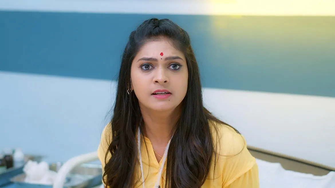 Watch Inti Guttu TV Serial 24th December 2020 Full Episode 22 Online on ...