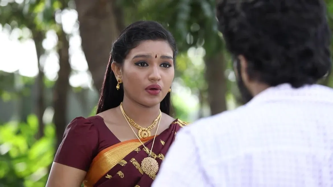 Watch Sembaruthi TV Serial 17th January 2018 Full Episode 67 Online on ZEE5