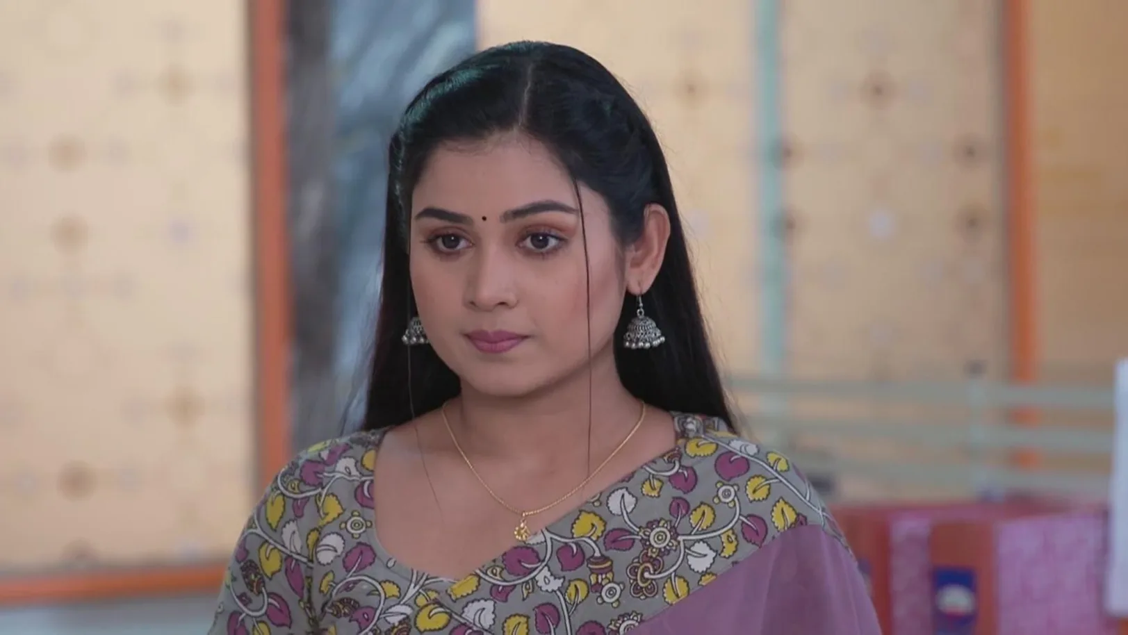 Shree TV Serial Online - Watch Tomorrow's Episode Before TV on ZEE5