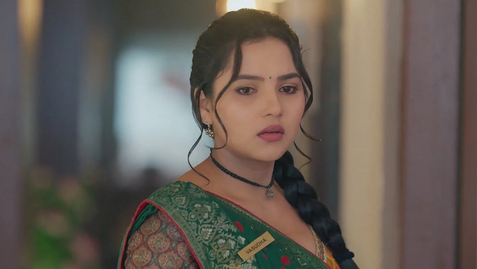 Vasudha TV Serial Online - Watch Tomorrow's Episode Before TV on ZEE5