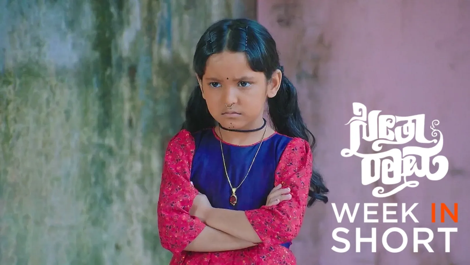 SeethaRaama TV Serial Online - Watch Latest Show Episodes on ZEE5