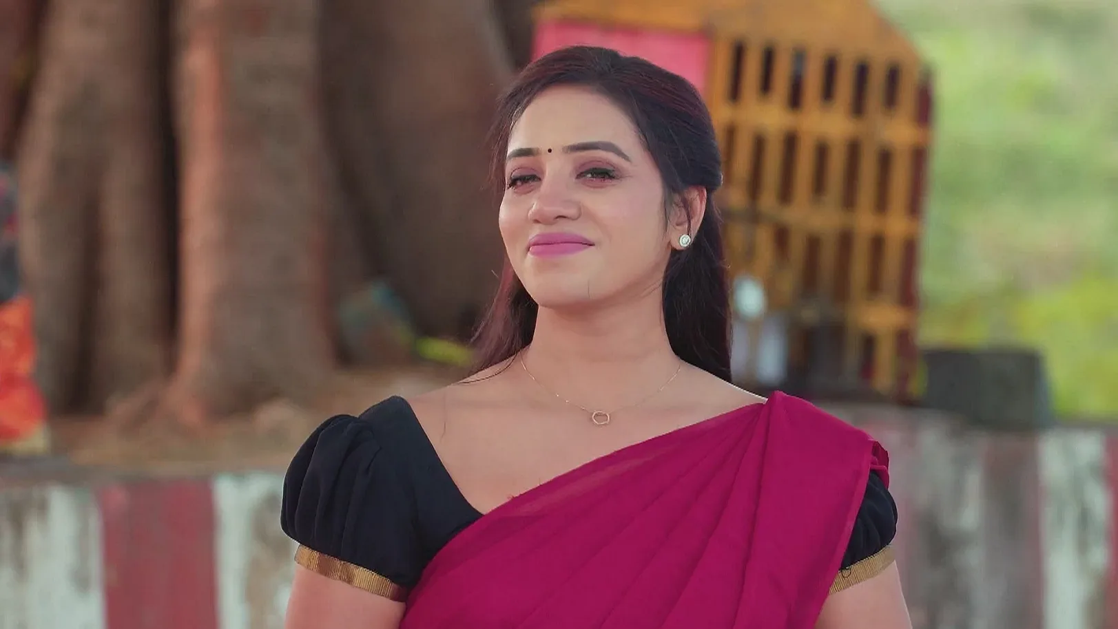 Karthigai Deepam TV Serial Online - Watch Latest Show Episodes on ZEE5