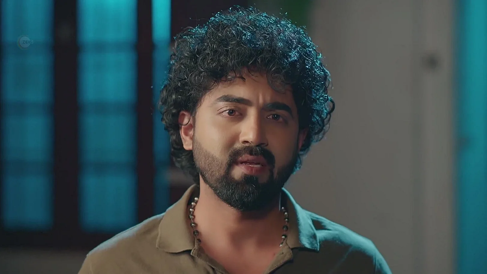 Akale TV Serial Online - Watch Latest Show Episodes on ZEE5