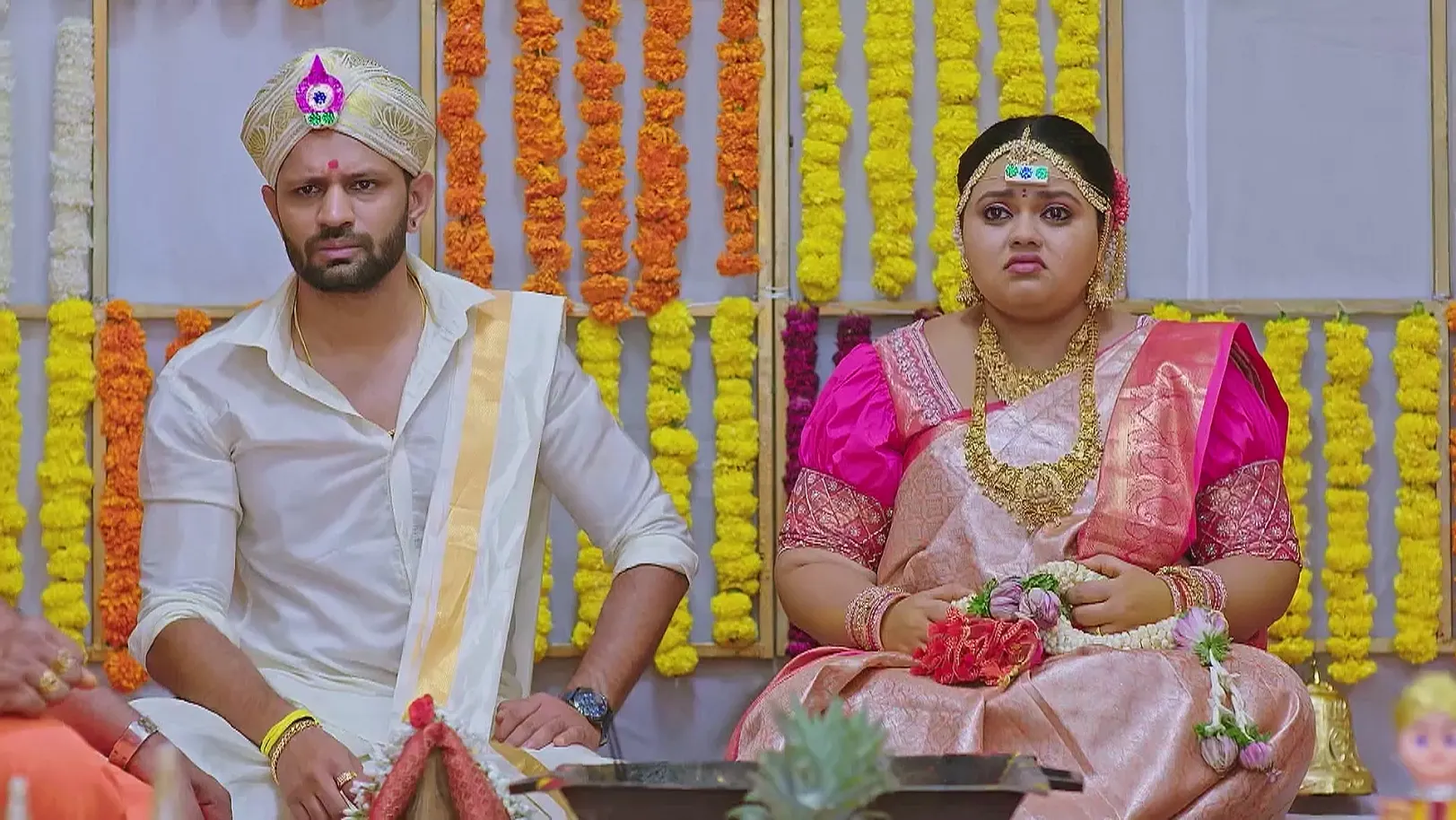 Annayya TV Serial Online - Watch Latest Show Episodes on ZEE5