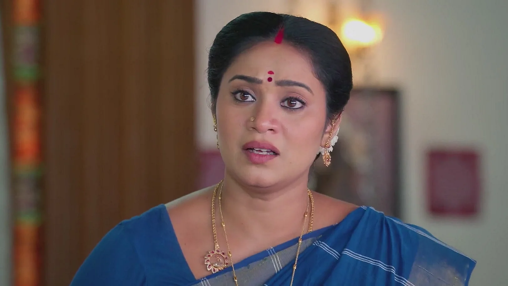 Sandhya Raagam TV Serial Online - Watch Latest Show Episodes on ZEE5