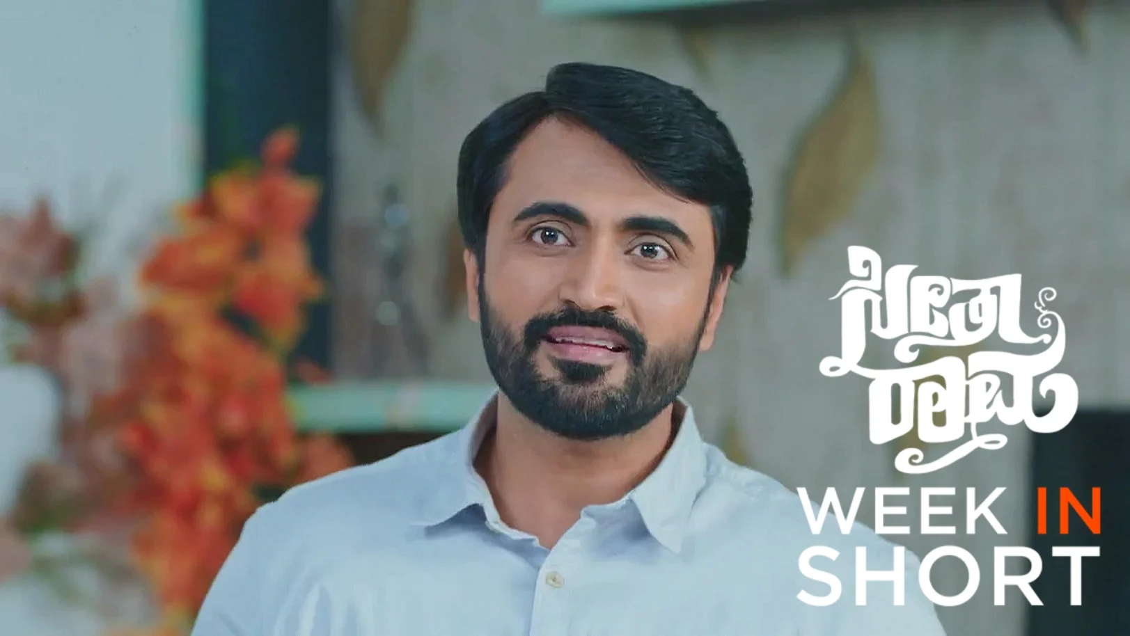 SeethaRaama TV Serial Online - Watch Latest Show Episodes on ZEE5