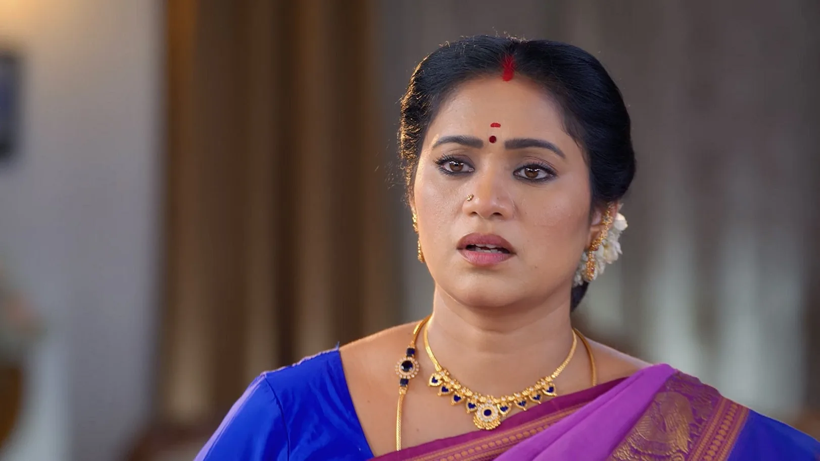 Sandhya Raagam TV Serial Online - Watch Latest Show Episodes on ZEE5