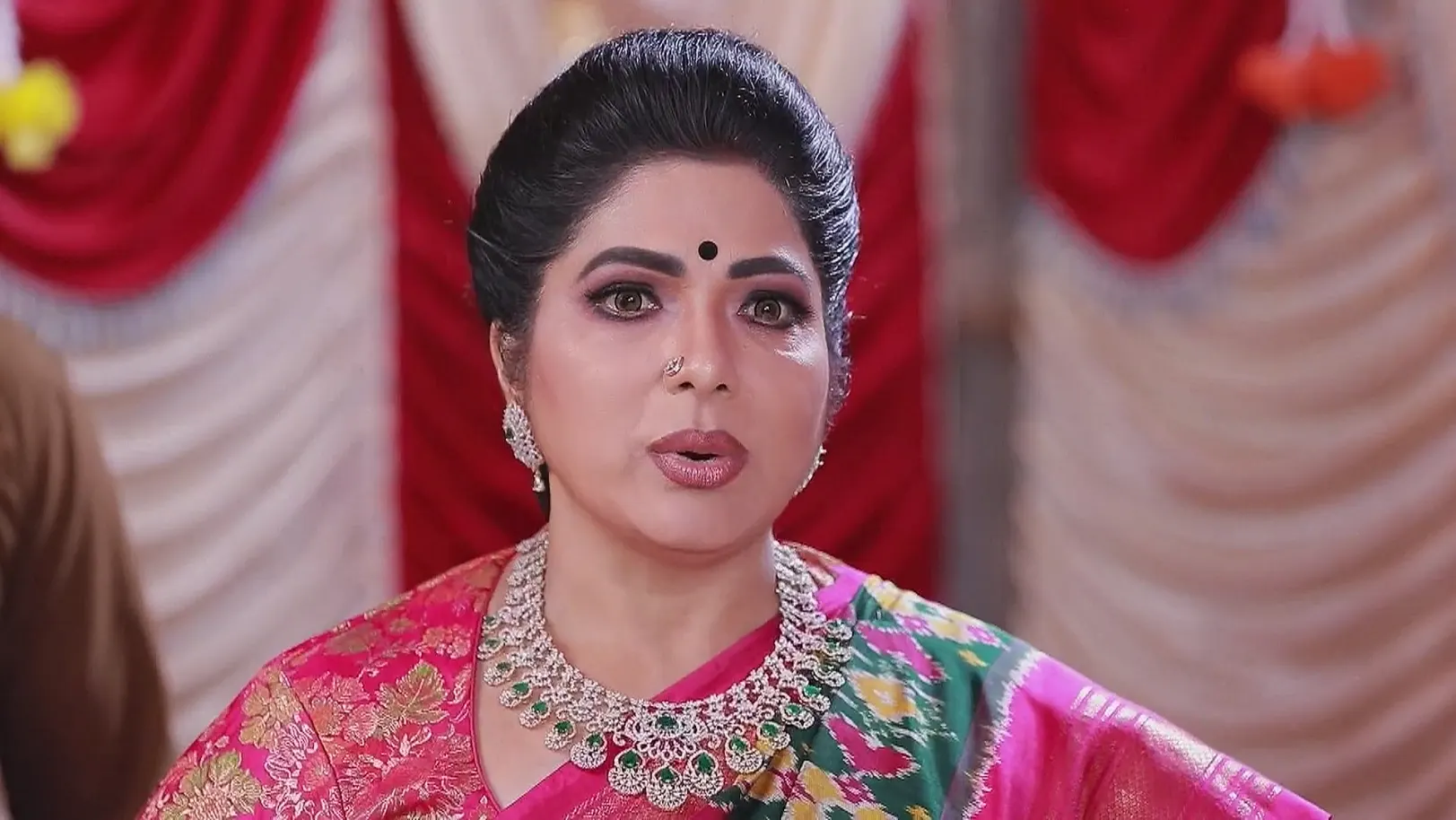 Varisu TV Serial Online - Watch Latest Show Episodes on ZEE5