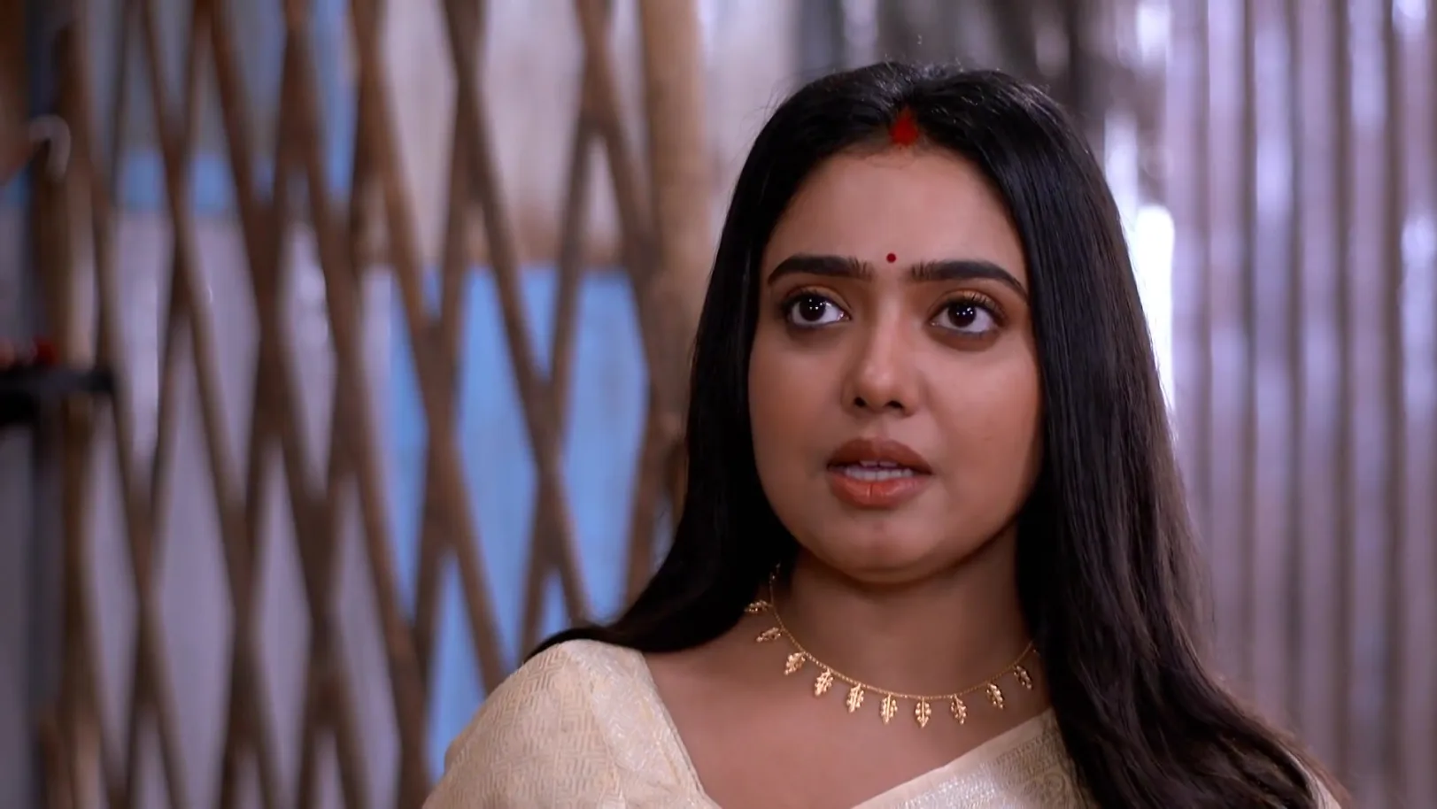 Amader Dadamoni TV Serial Online - Watch Latest Show Episodes on ZEE5