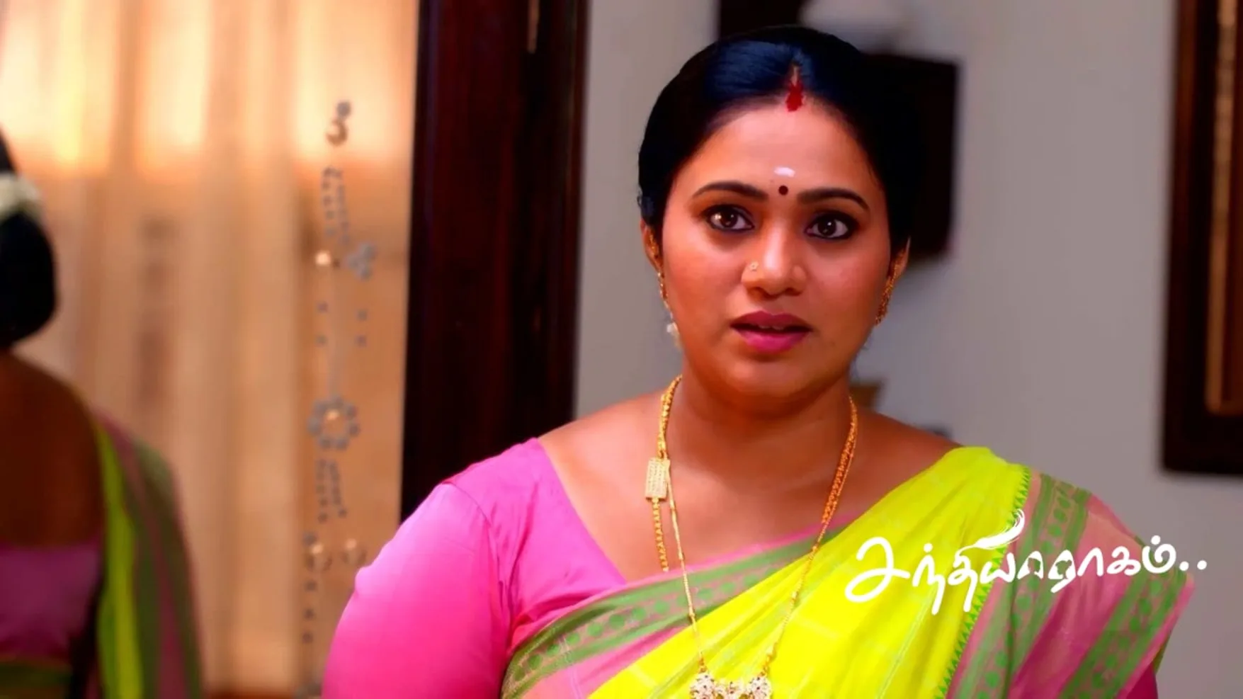 Watch Sandhya Raagam TV Serial 23rd November 2023 Full Episode 34 ...