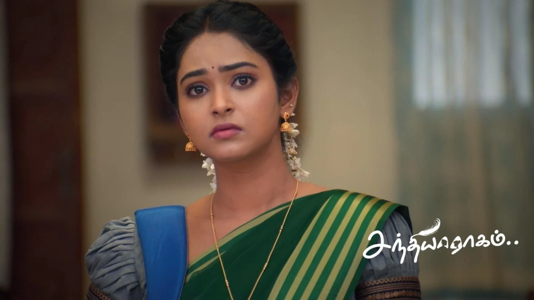 Watch Sandhya Raagam TV Serial 28th January 2024 Full Episode 81 Online ...