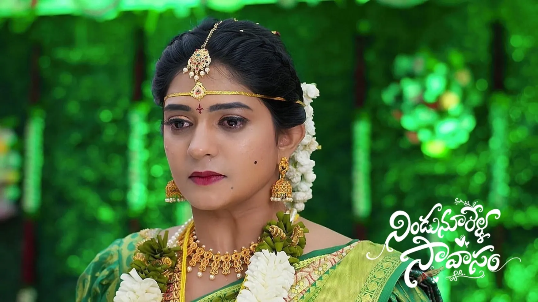 Watch Nindu Noorella Saavasam TV Serial 24th April 2024 Full Episode ...