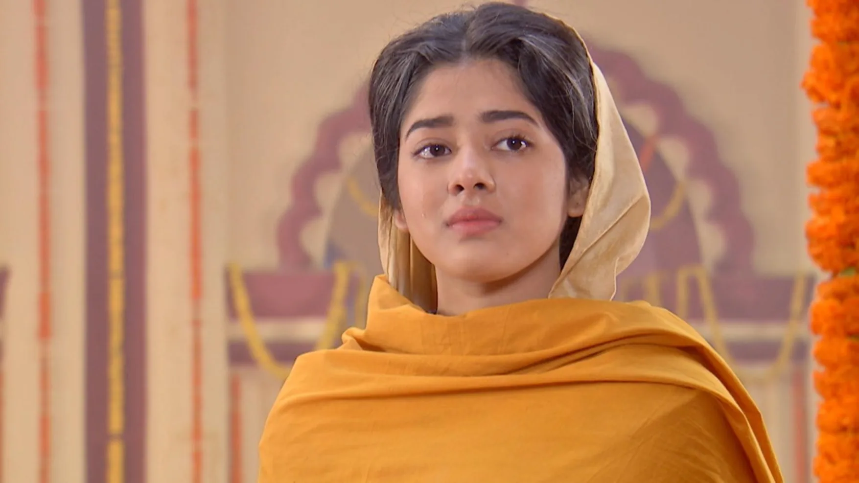 Watch Rani Rashmoni TV Serial 20th December 2019 Full Episode 868 ...