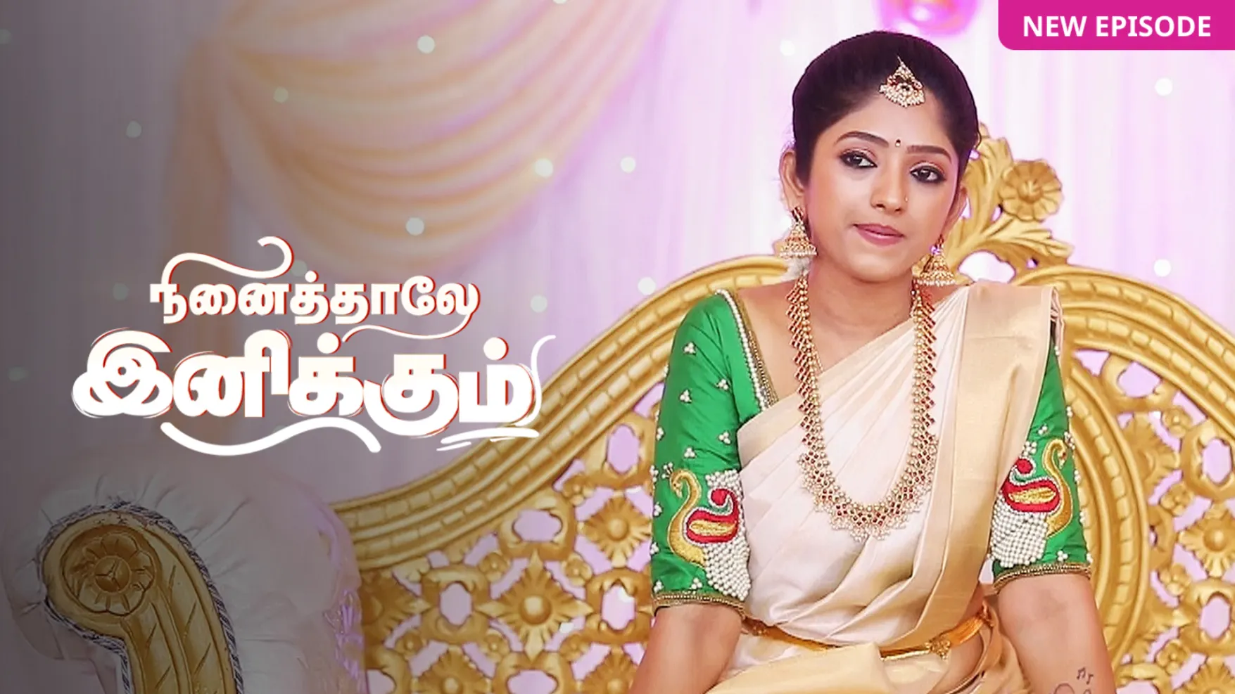 Watch Ninaithale Inikkum Latest Episodes Online Exclusively on ZEE5