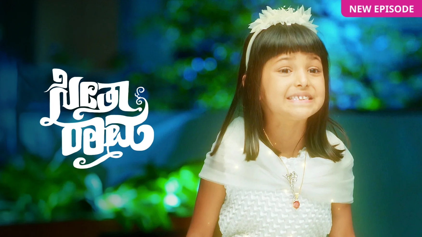 SeethaRaama TV Serial Online - Watch Latest Show Episodes on ZEE5