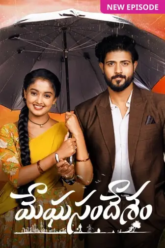 Watch Meghasandesam TV Serial 26th November 2024 Full Episode 155 ...