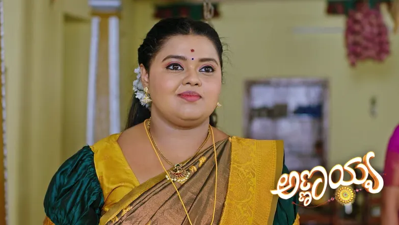 Watch & Enjoy All the Episodes of Annayya TV Serial Online on ZEE5