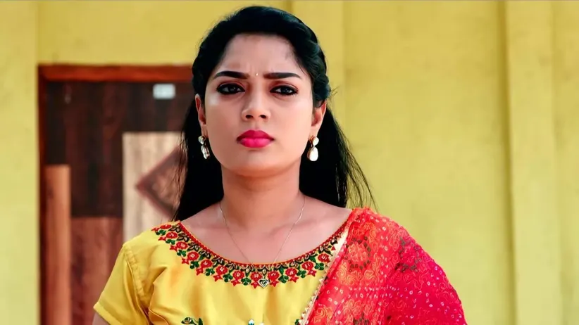 Watch Krishna Sundari TV Serial 16th September 2022 Full Episode 360 ...