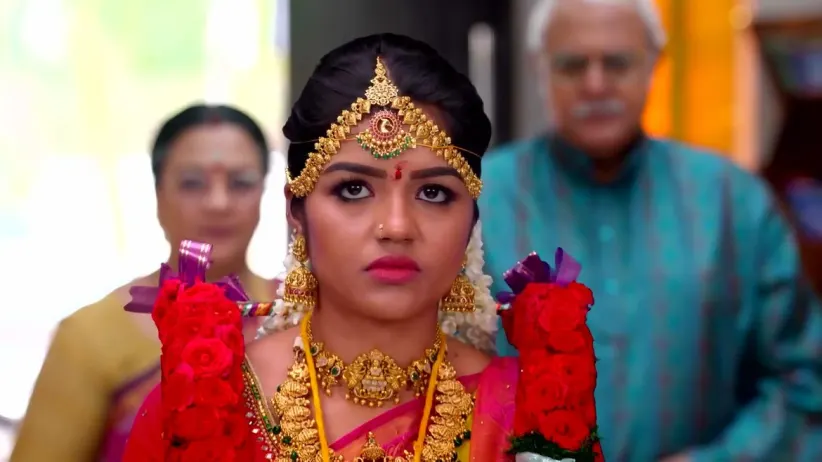 Watch Ninaithale Inikkum TV Serial 20th September 2022 Full Episode 341 ...