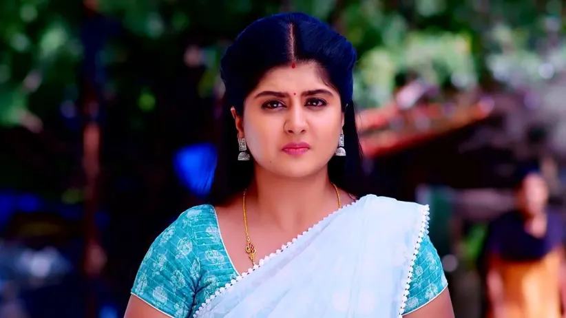 Watch Vaidehi Parinayam TV Serial 2nd November 2022 Full Episode 447 ...