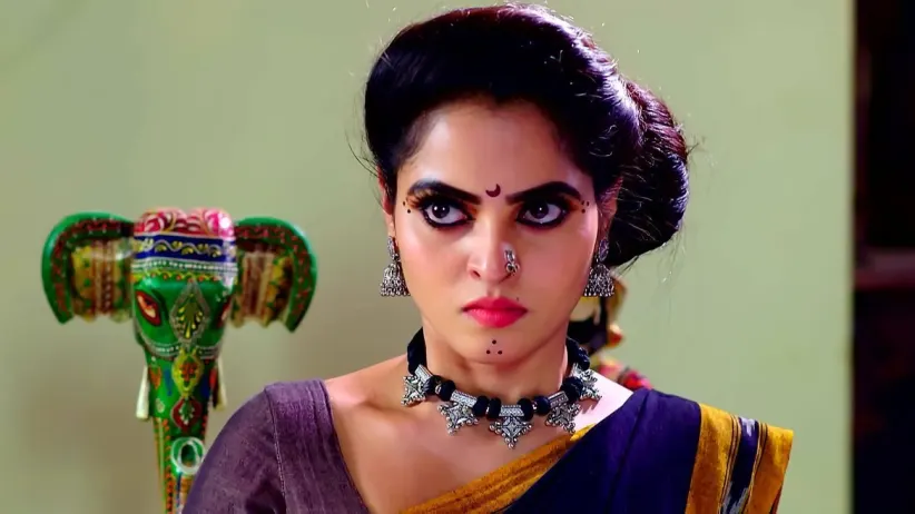 Watch Nagadevatha TV Serial 26th December 2022 Full Episode 116 Online ...