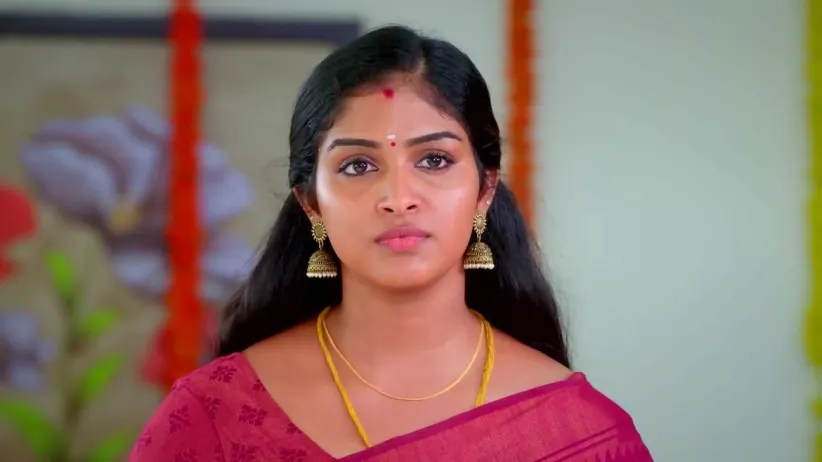 Watch Karthigai Deepam TV Serial 11th July 2023 Full Episode 183 Online ...