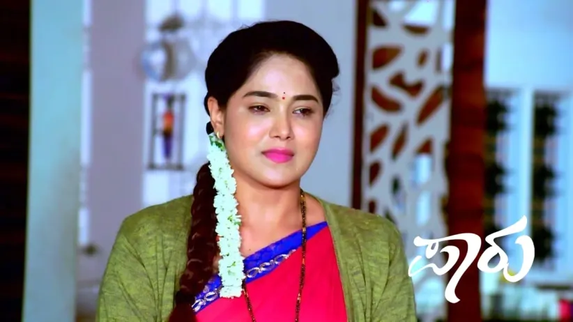 Watch Paaru TV Serial 11th September 2023 Full Episode 1251 Online on ZEE5
