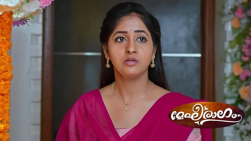 Watch Megharagam TV Serial 22nd January 2024 Full Episode 103 Online on ...