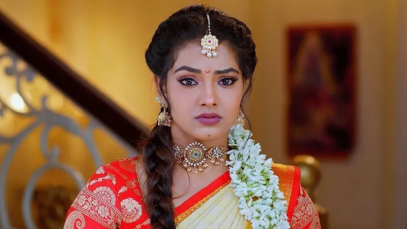 Watch Jabilli Kosam Aakashamalle TV Serial 29th February 2024 Full ...