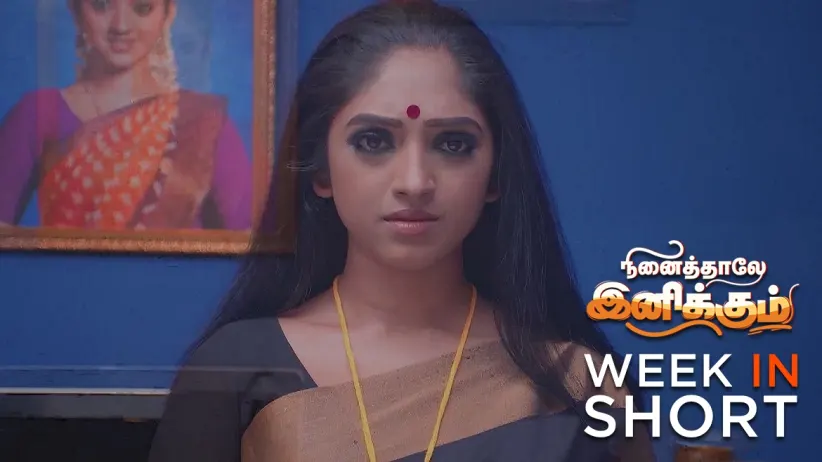 Watch Ninaithale Inikkum TV Serial 15th April 2024 Full Episode 870 ...