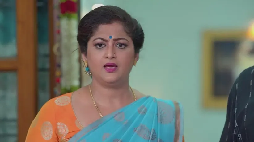 Watch Seetha Raman TV Serial 22nd April 2024 Full Episode 341 Online on ...