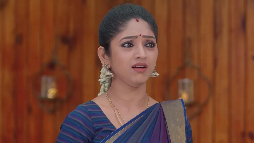 Watch Ninaithale Inikkum TV Serial 11th July 2024 Full Episode 958 ...
