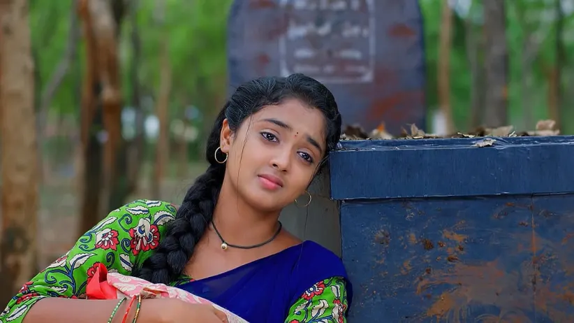 Watch Meghasandesam TV Serial 16th July 2024 Full Episode 32 Online on ZEE5 in