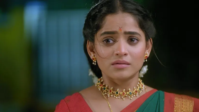 Watch Paaru TV Serial 17th July 2024 Full Episode 150 Online on ZEE5