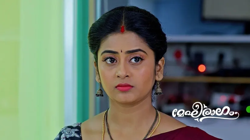 Watch Megharagam TV Serial 26th November 2024 Full Episode 505 Online ...