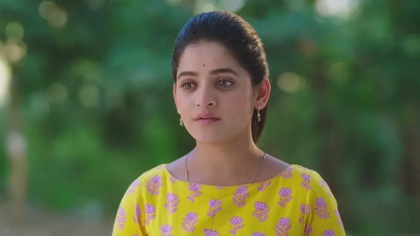 Watch Paaru TV Serial 12th December 2024 Full Episode 290 Online on ZEE5